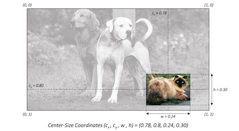 Object Detection Object Detection 튜토리얼 Ssd300 Part 1