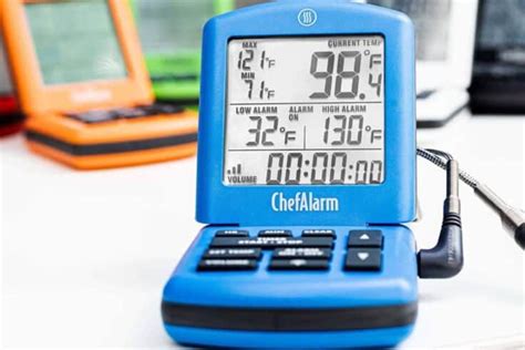 The 5 Best Probe Thermometers For Grilling Culinary Hill