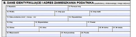 SD Z wzór dokumentu Instrukcja Magazyn Przedsiębiorcy