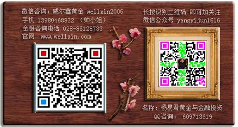 威尔鑫 专业的黄金、白银、有色金属投资咨询及研究分析