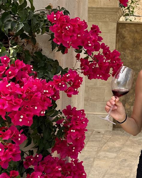 Yuna🌏 🌊💫🌿🌞🔮🗝 Summer Wine 🍷🍇 Instagram