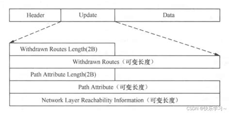 【博客459】bgp 边界网关协议 报文格式 route refresh报文 csdn博客