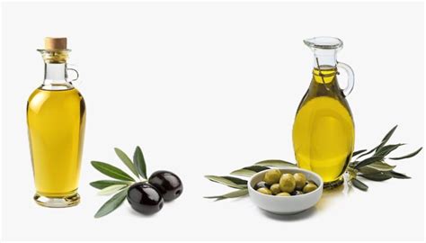 Olive Oil Vs Extra Virgin Olive Oil Key Differences 2025