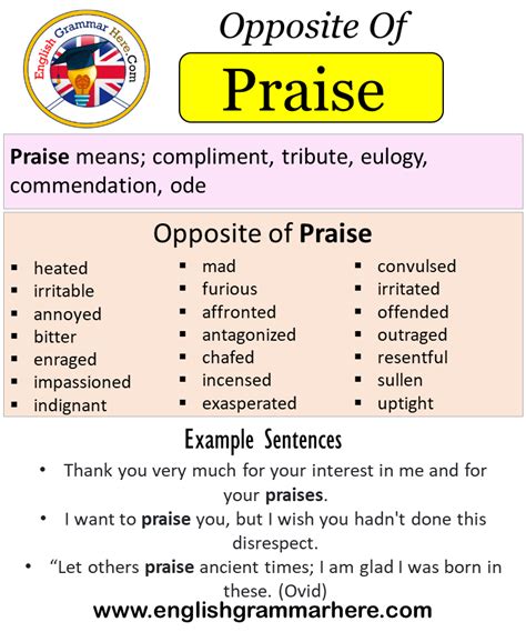 Opposite Of Praise Antonyms Of Praise Meaning And Example Sentences