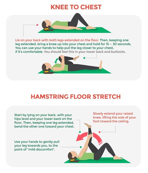 Physical Therapy Exercises For Back Pain Hot Sex Picture
