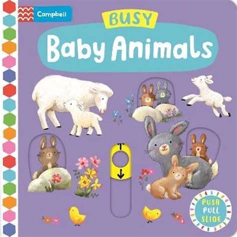 Jual Wd Campbell My Busy Book Push Pull Slide Board Books Buku Cerita