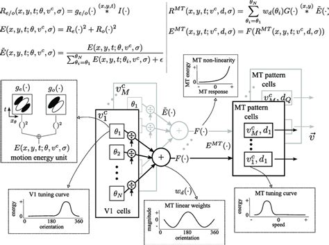 the layer of the v1 cells is composed of two populations of simple and download scientific