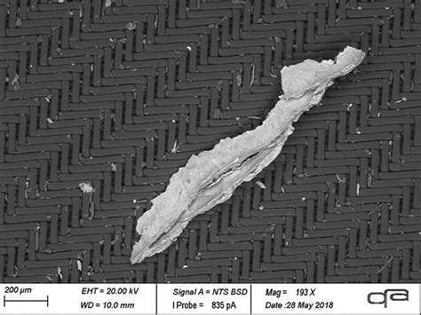 Correlative Particle Analysis Limi Sem Edx Raman And Ftir