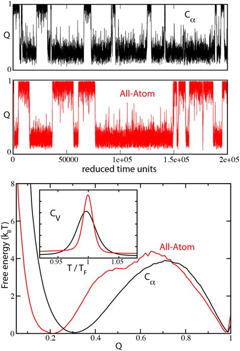 Protein Folding Simulations With The Default Cα And All Atom Models Of