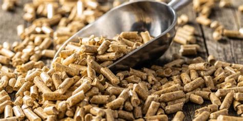 ¿qué Son Los Pellets Y Qué Tipos Existen