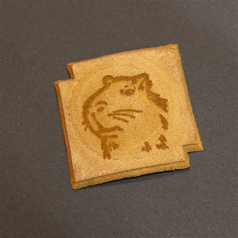 Capybara Cracker Box R Capybara