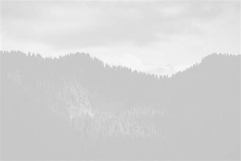 Education Evaluation Commission And Human Capability Development Program Wonderful Education