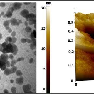 A TEM Micrographs Of Synthesized Pv SeNPs And B AFM Micrographs Of