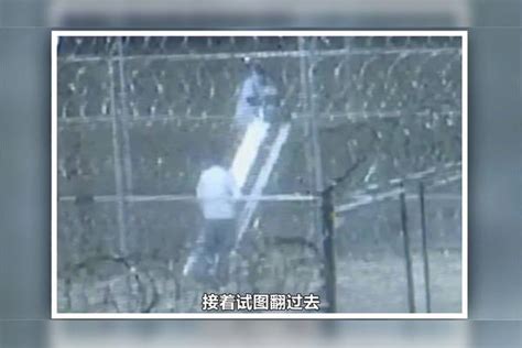 盘点世界上最搞笑的越狱方式你都见过哪些下