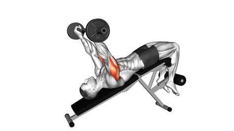 Ez Barbell Decline Triceps Extension Video Guide And Tips
