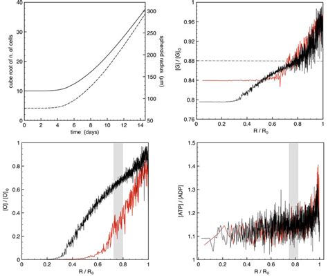 Simulation Of 3d Spheroid Growth In The Surface Controlled Regime A Download Scientific