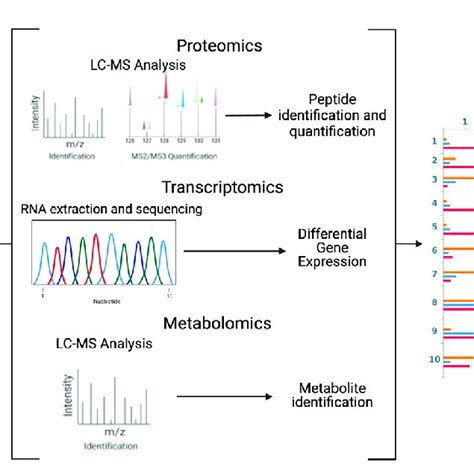 schematic of multi omics data collection and analysis of download