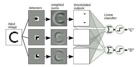 Visualization Of Neural Networks Parameter Transformation And Fundamental Concepts Of
