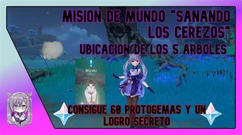 MISION DE MUNDO SANANDO LOS CEREZOS UBICACION 5 ARBOLES DE TRUENO