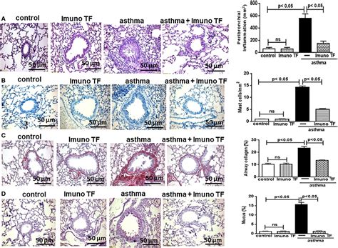 Frontiers Transfer Factors Peptides Imuno Tf® Modulate The Lung