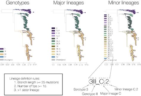 Description Of Proposed Dengue Virus Lineage Classification System Download Scientific