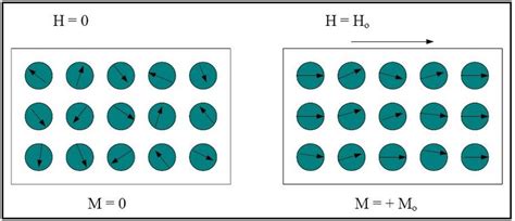 3 A Paramagnetic Material Each Atom Possesses A Permanent Magnetic Download Scientific