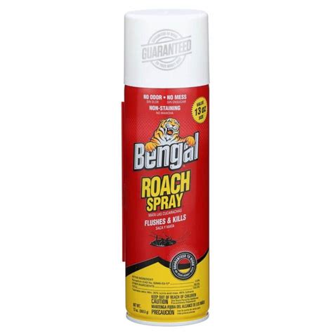 Bengal 13 Oz Odorless Stain Free Dry Roach Insect Killer Spray 92473