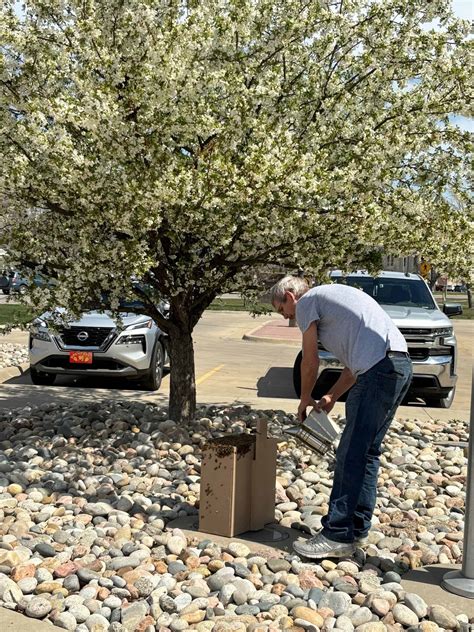 Unexpected Visitors Honeybees McPherson BPU
