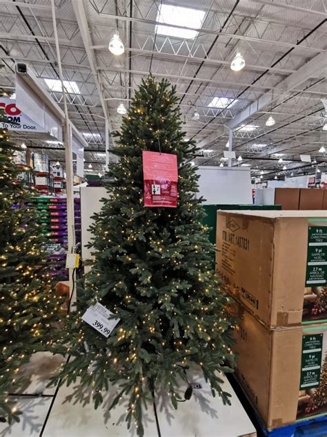 Costco 1487014 7 5 Pre Lit Radiant Micro Led Artificial Christmas Tree
