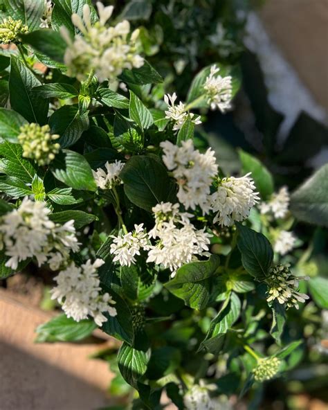 浅野真弓さんのプロフィールページ