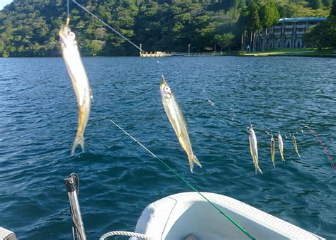 魚探活用で楽しさ倍増！ ワカサギのボート釣り＠芦ノ湖 P1 Webマガジン Heat