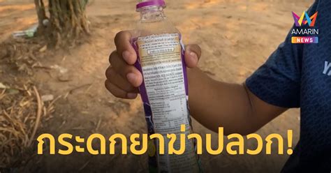 ยาฆ่าปลวก รวมข่าวของ ยาฆ่าปลวก อัพเดตเรื่อง ยาฆ่าปลวก