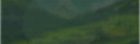 Cost Vs Capability How Are Tech Leaders Balancing Investment And