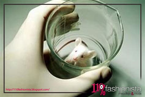 Patricia Alastre Crueldad Animal En La Industria De La Belleza