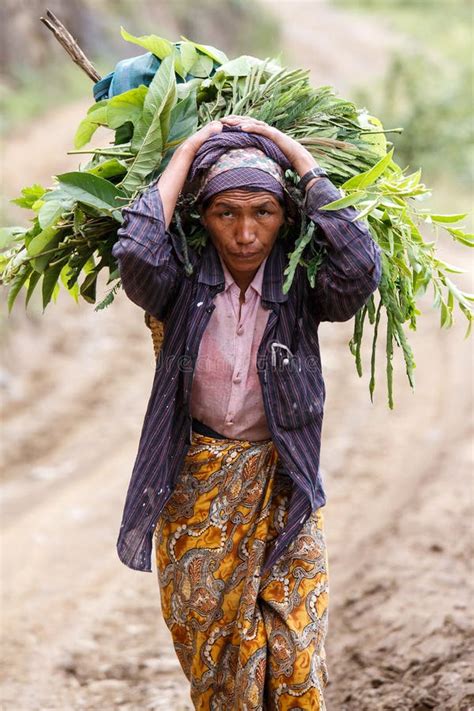 Local Farmer In Chin State Myanmar Editorial Image Image Of Burma Local 56498475