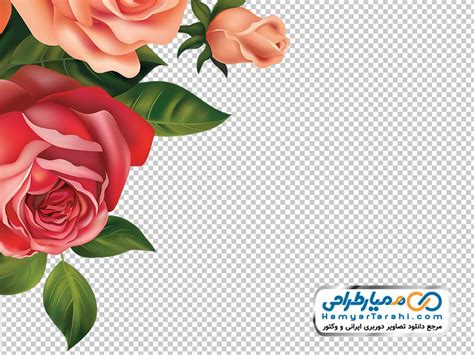 دوربری گل رز قرمز و نارنجی 08300880 همیار طراحی