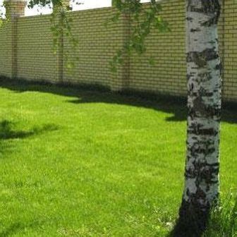 Купить готовые газоны от производителя рулонных газонов