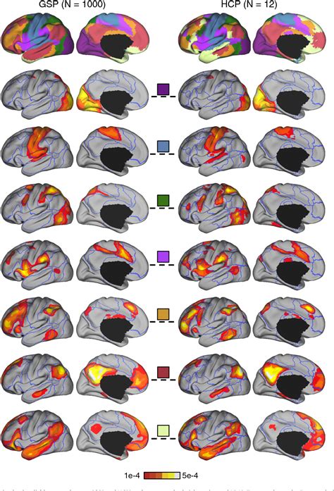 Figure 1 From Estimates Of Segregation And Overlap Of Functional Connectivity Networks In The