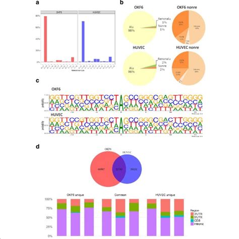 Characterization Of A To I Rna Editing Events In Human Epithelial And