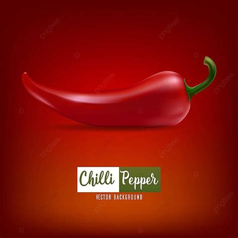 Vector Background With Red Chilli Pepper Isolated Design Chilli Pepper