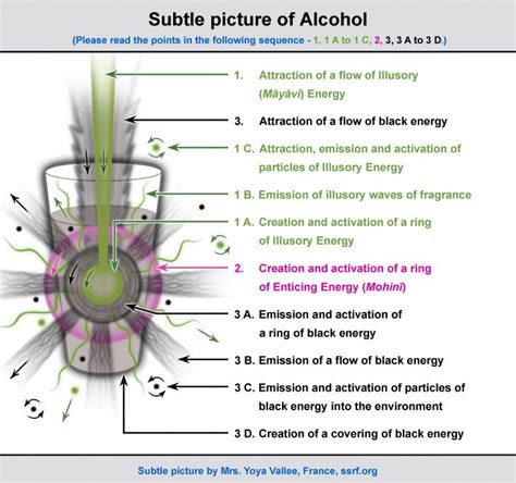 Side Effects Of Drinking Rum