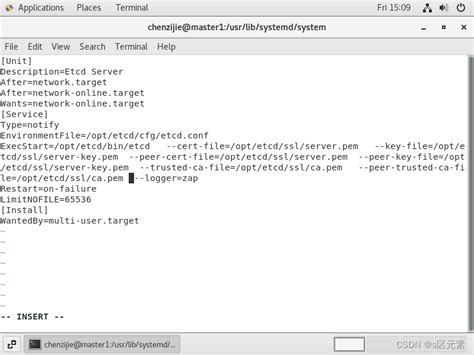 Failed To Start Rvice Unit Is Not Loaded Properly Invalid