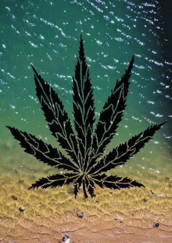 420 Blaze  420 Blaze It Discover And Share S