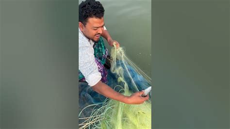 Allhamdulila Youtube