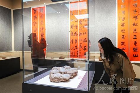 江西大余：博物馆里感受龙文化 人民图片网