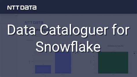 Data Cataloguer For Snowflake Ntt Data Databytes Ep 40 Youtube