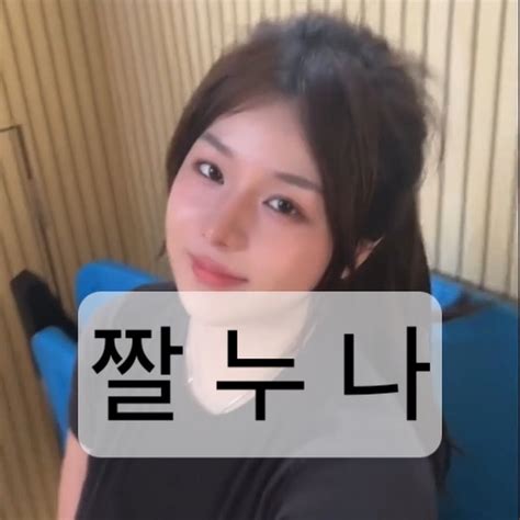 짤누나 Youtube