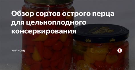 Обзор сортов острого перца для цельноплодного консервирования Чилисад Дзен