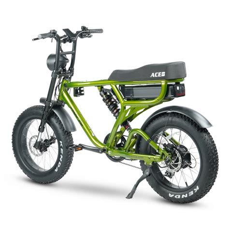 Ace X Pro Dual Suspension Electric Bike Buy Ace X Pro Dual Suspension Electric Bike Online