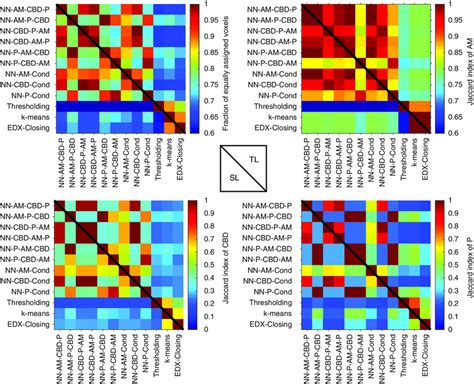 Fraction Of Equally Assigned Voxels Top Left As Well As Jaccard Index